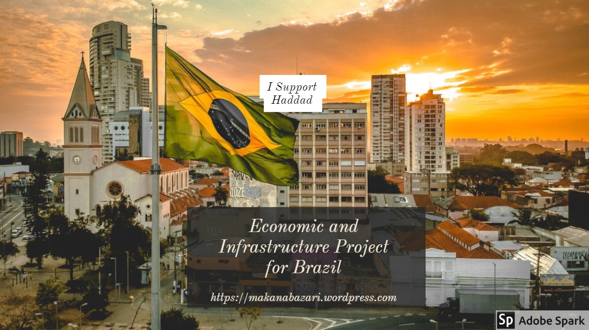 Economic and Development Project for Brazil – World Order