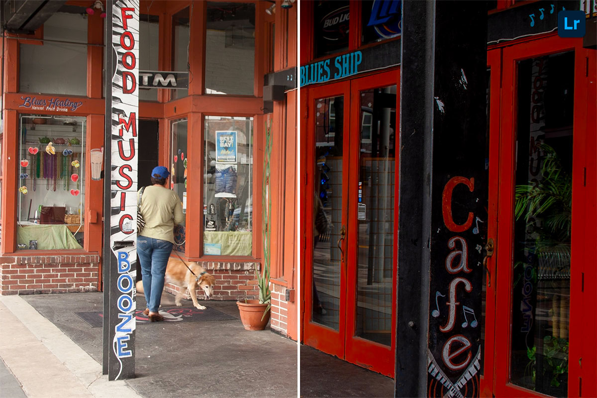 With the Dog | Remix | Photoshop Lightroom