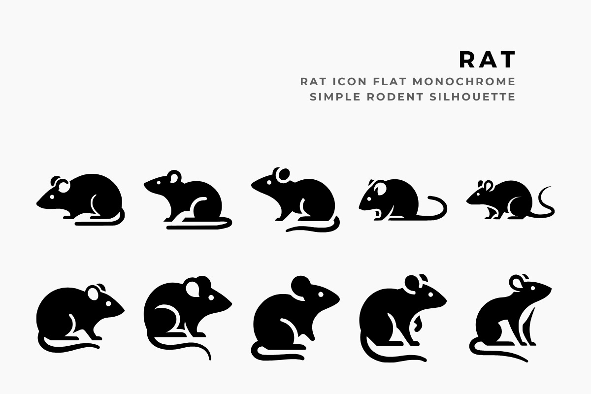 Rat Icon Vector on Behance :: Behance