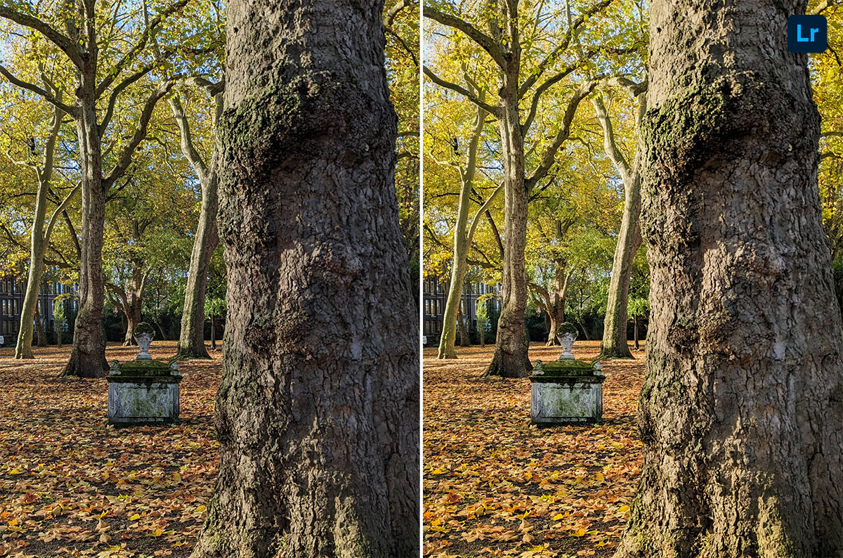 Grave | Edit | Photoshop Lightroom