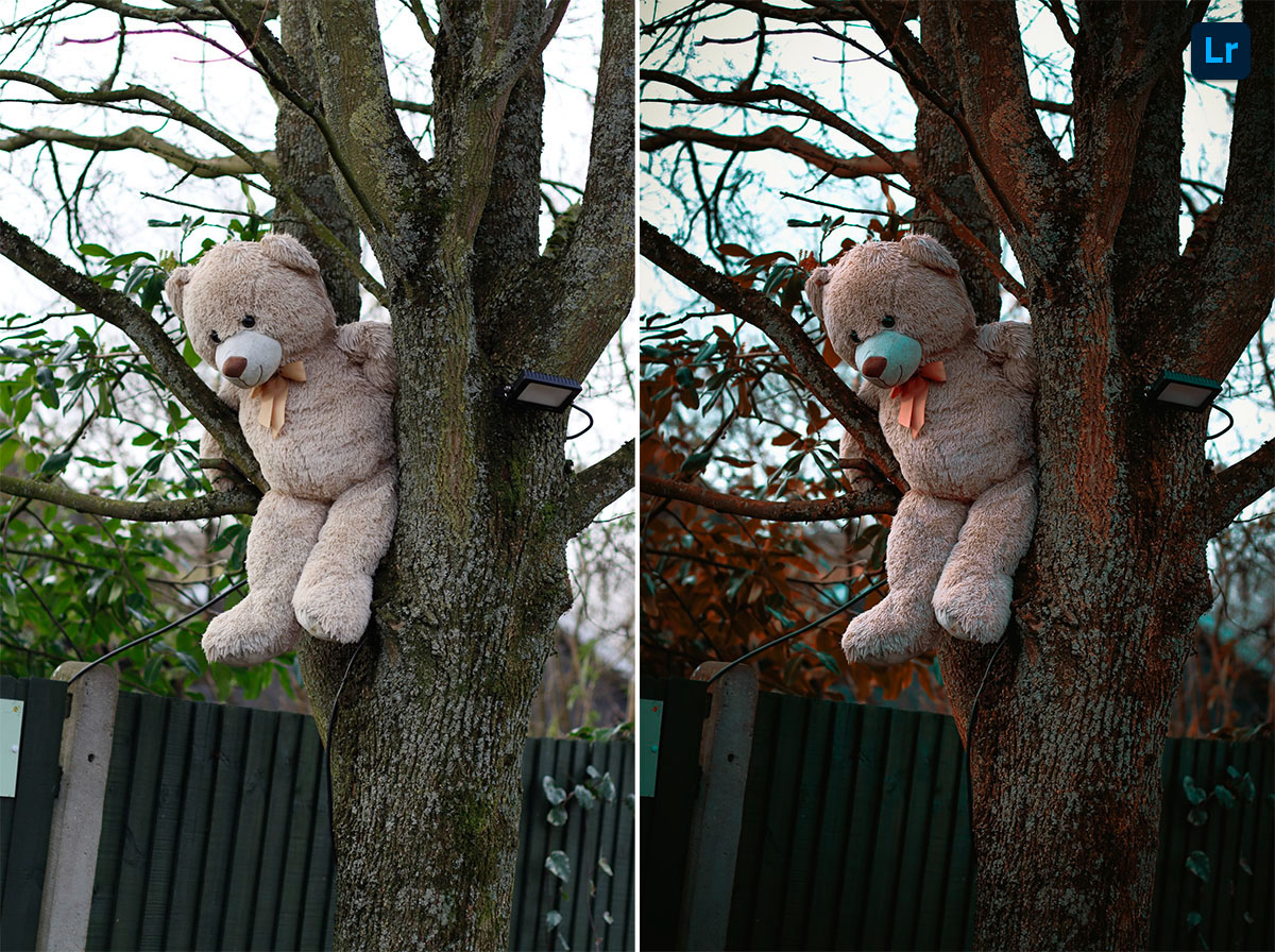 Random | Edit | Photoshop Lightroom