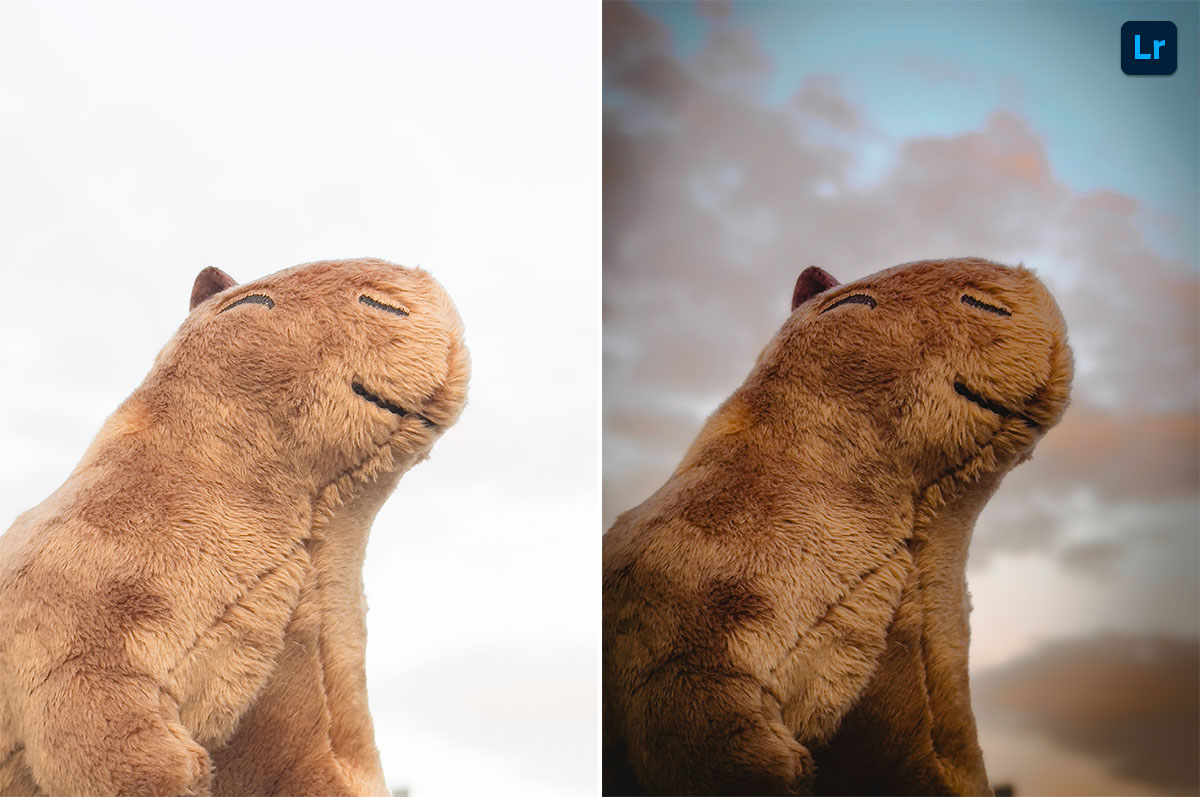 Beware of the Capybara | Edit | Photoshop Lightroom