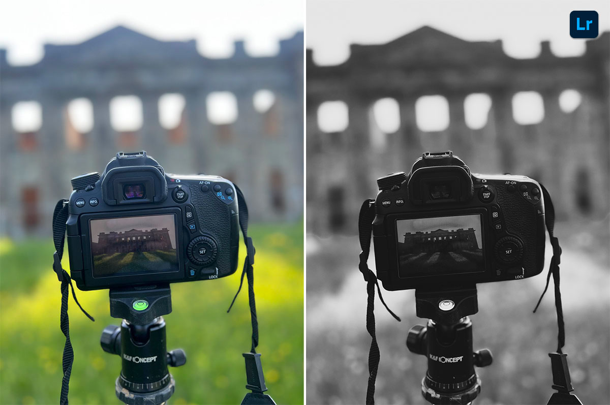 Photo of a Photo | Remix | Photoshop Lightroom