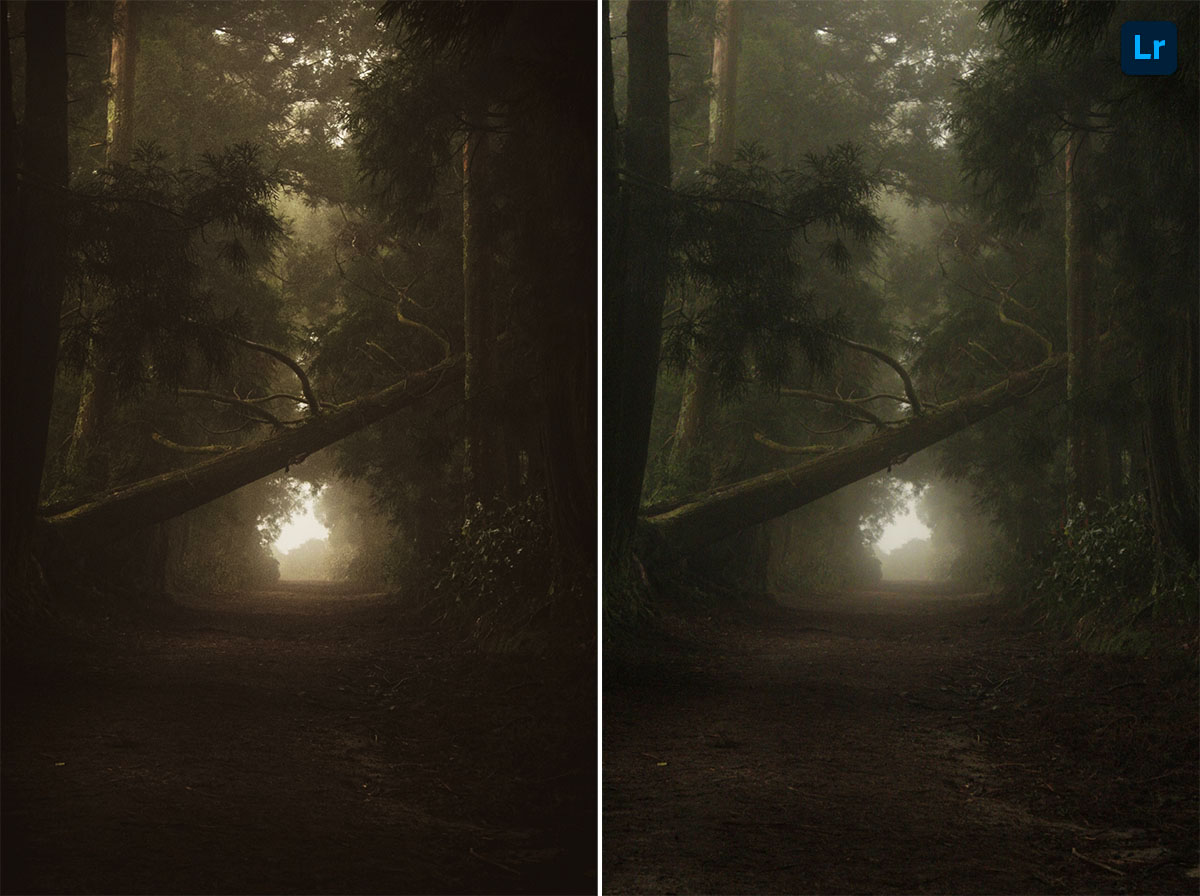 Falling | Edit | Photoshop Lightroom