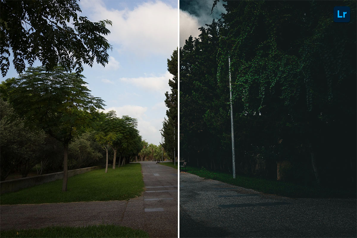 Morning shots. | Edit | Photoshop Lightroom