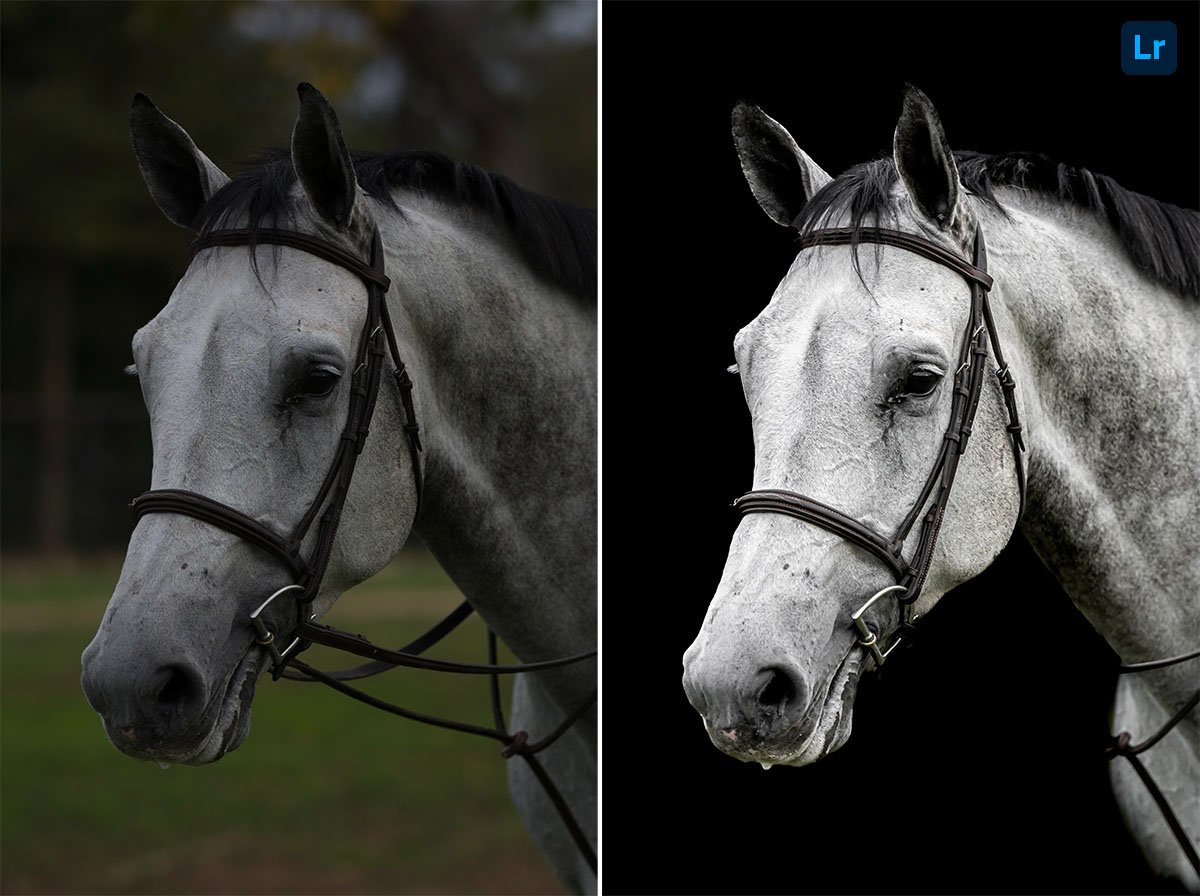 Beautiful Gray | Edit | Photoshop Lightroom