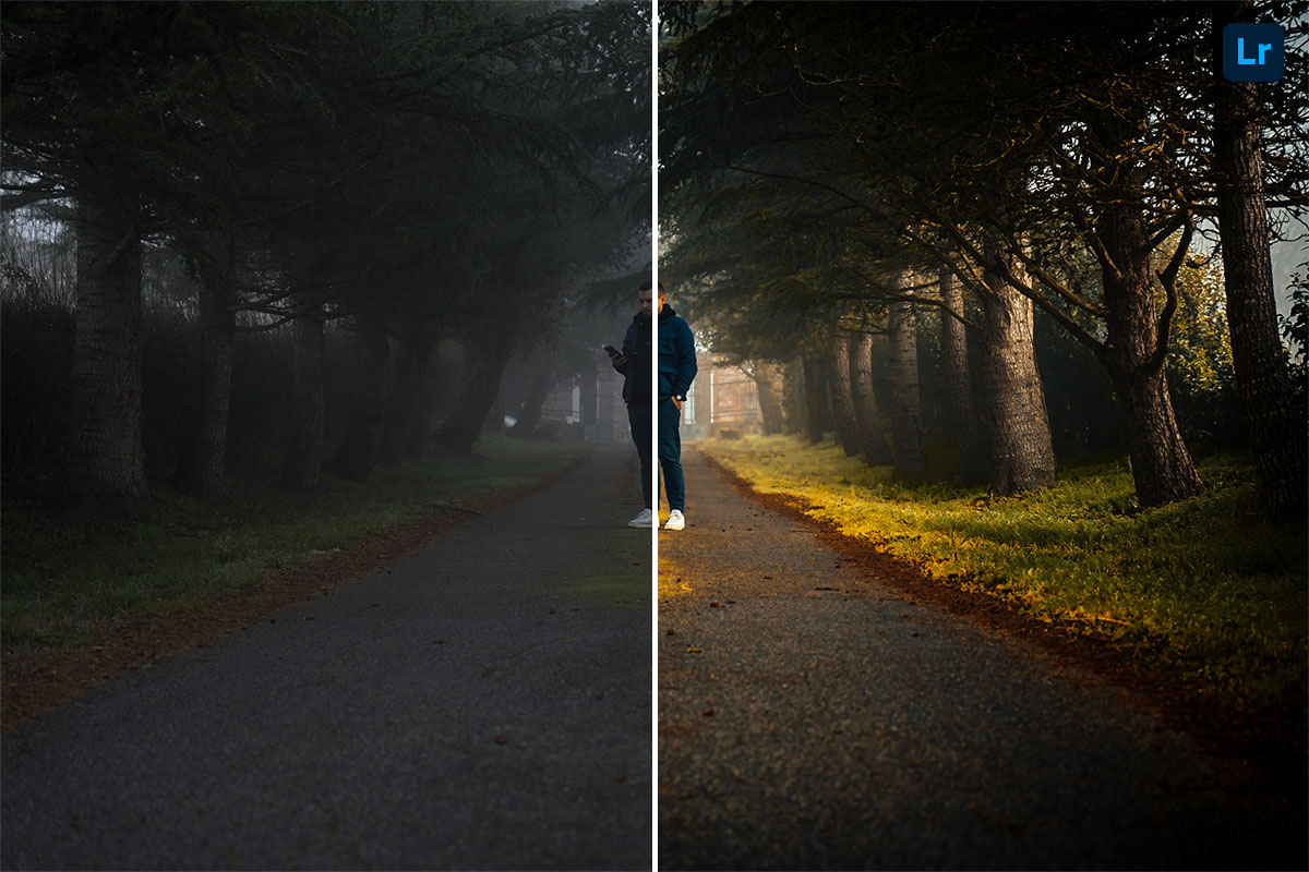 Brume | Remix | Photoshop Lightroom