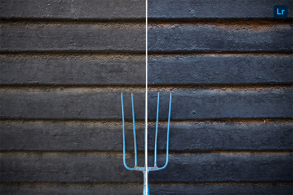 Fork | Edit | Photoshop Lightroom
