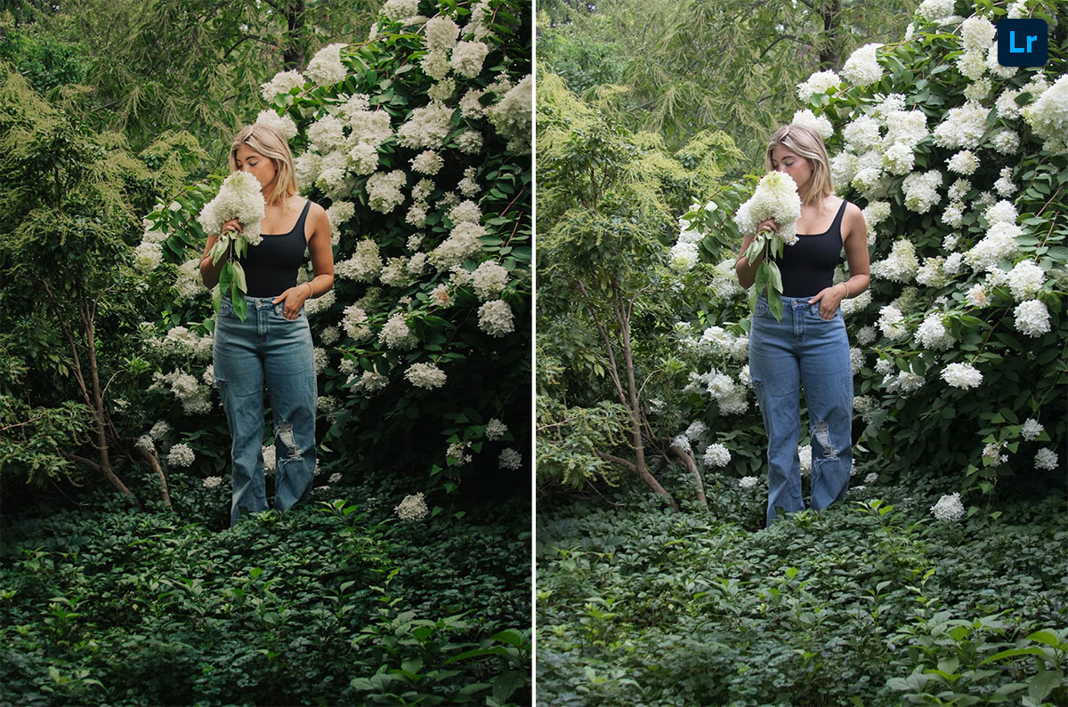 Wadsworth Mansion | Edit | Photoshop Lightroom