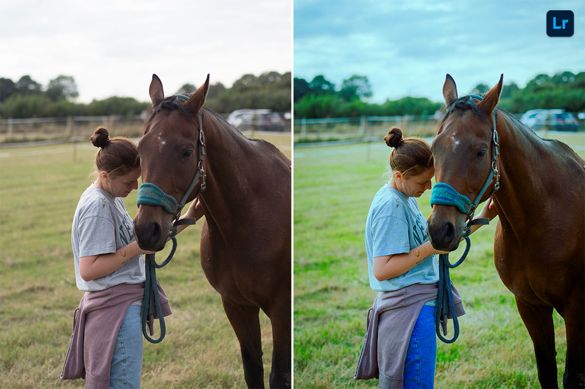 Shelley and Ren | Remix | Photoshop Lightroom