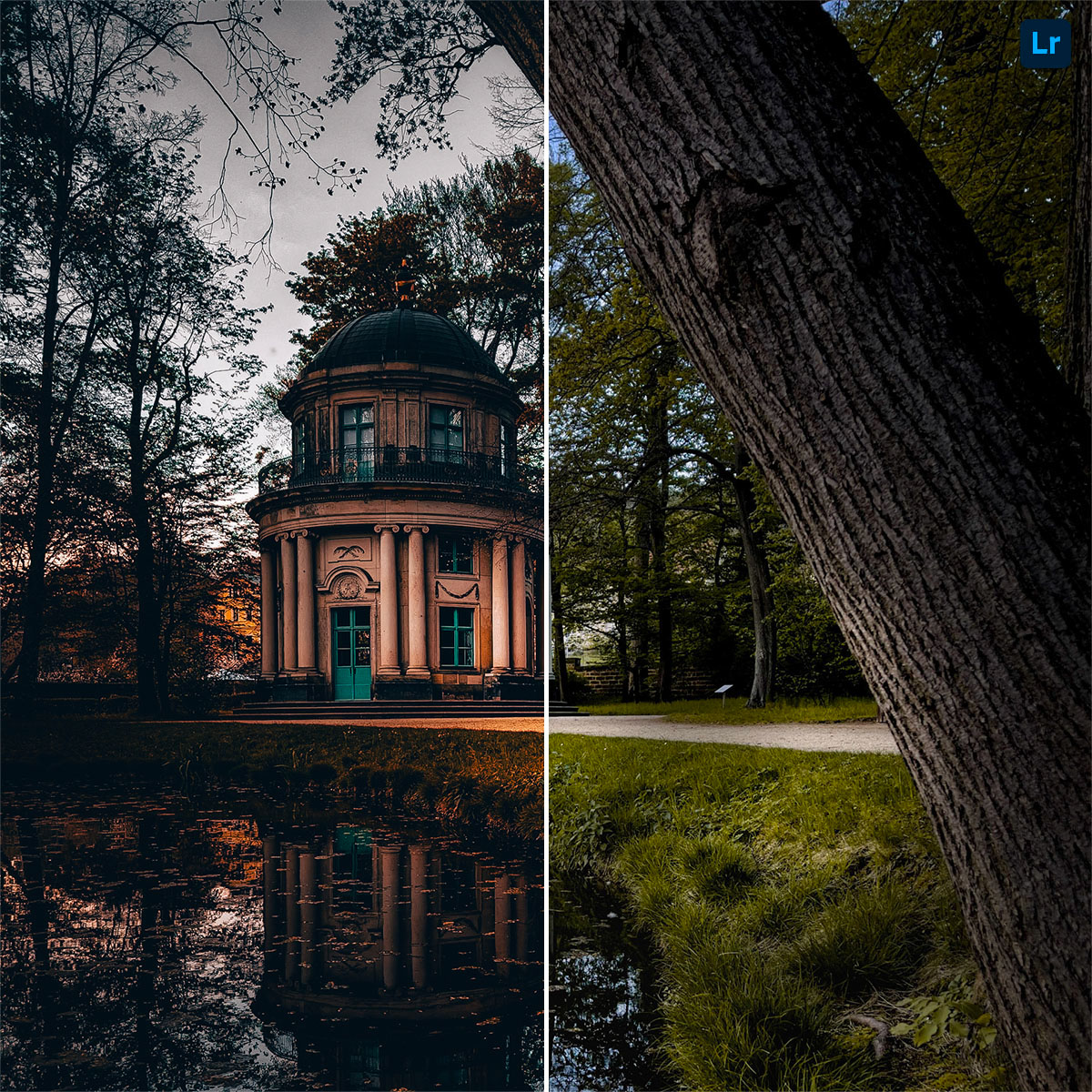Reflection | Edit | Photoshop Lightroom