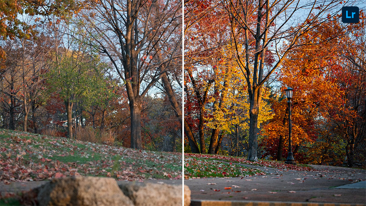 Fall walk | Edit | Photoshop Lightroom