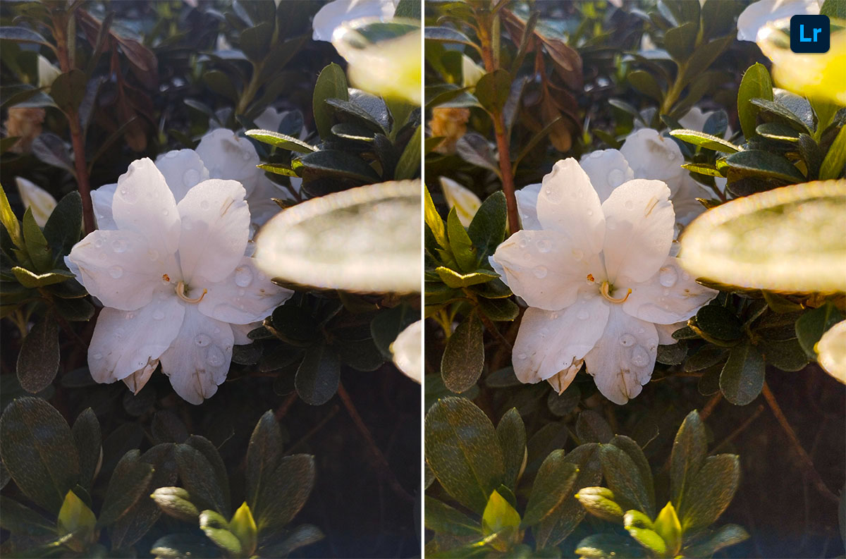 Colors | Edit | Photoshop Lightroom