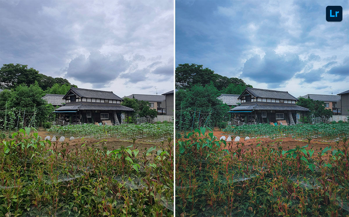 An old Japanese house in Tokyo | Edit | Photoshop Lightroom