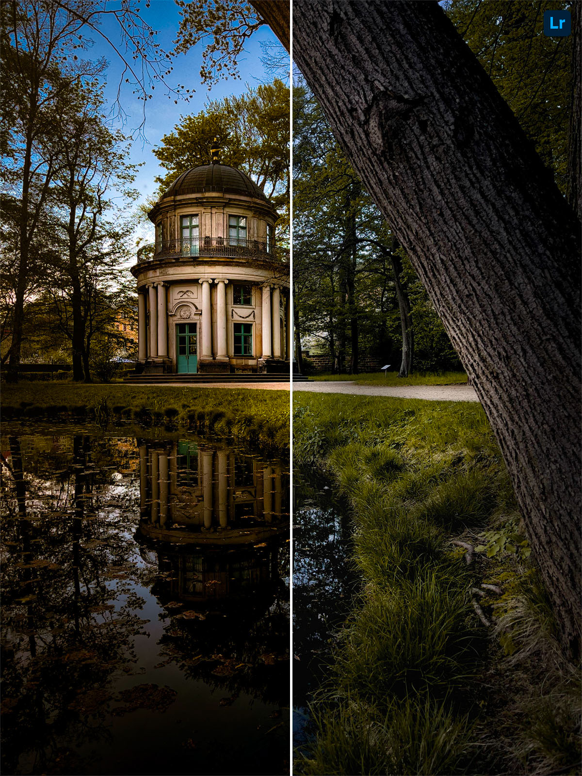 Reflection | Remix | Photoshop Lightroom
