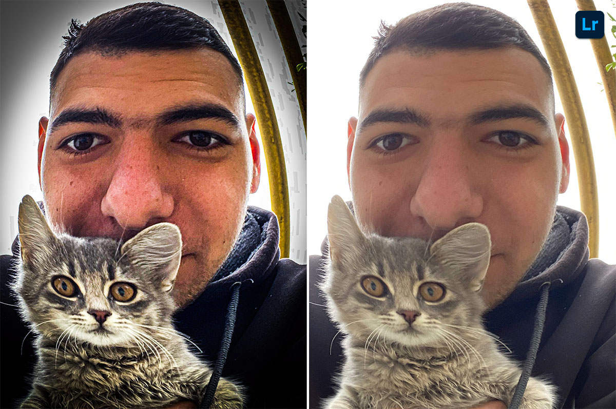 Cat | Remix | Photoshop Lightroom