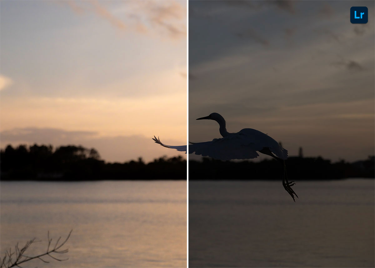 Flight | Edit | Photoshop Lightroom