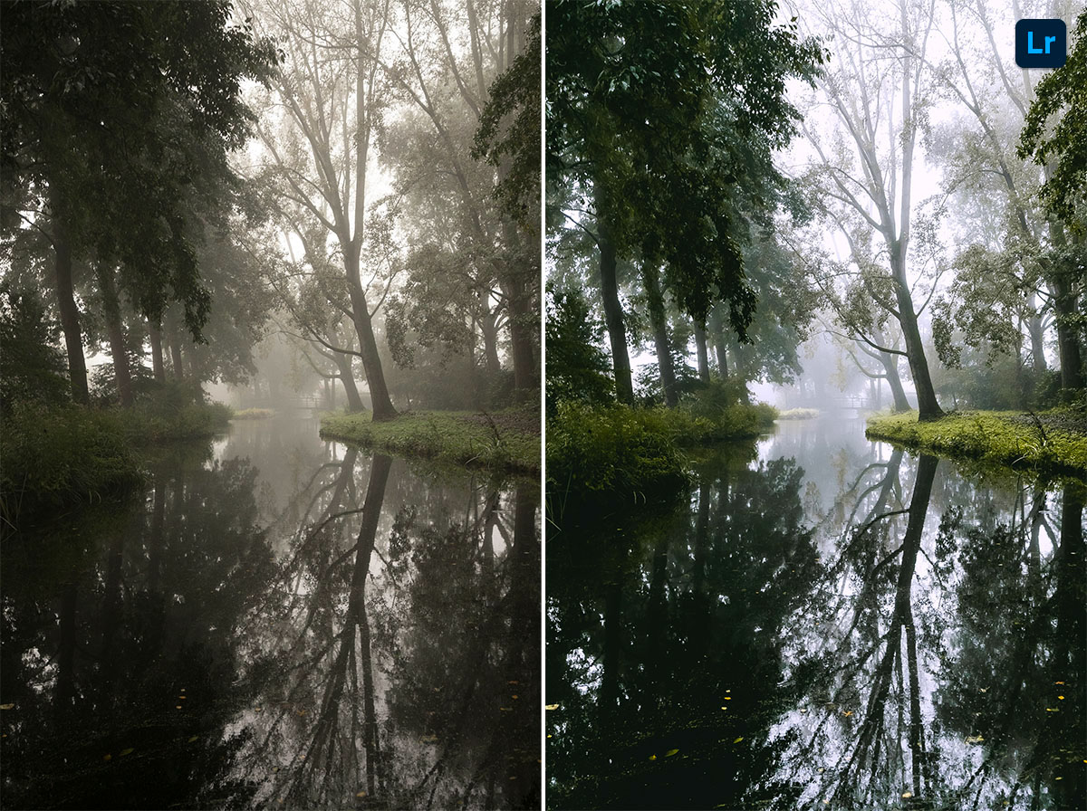Foggy Morning | Edit | Photoshop Lightroom