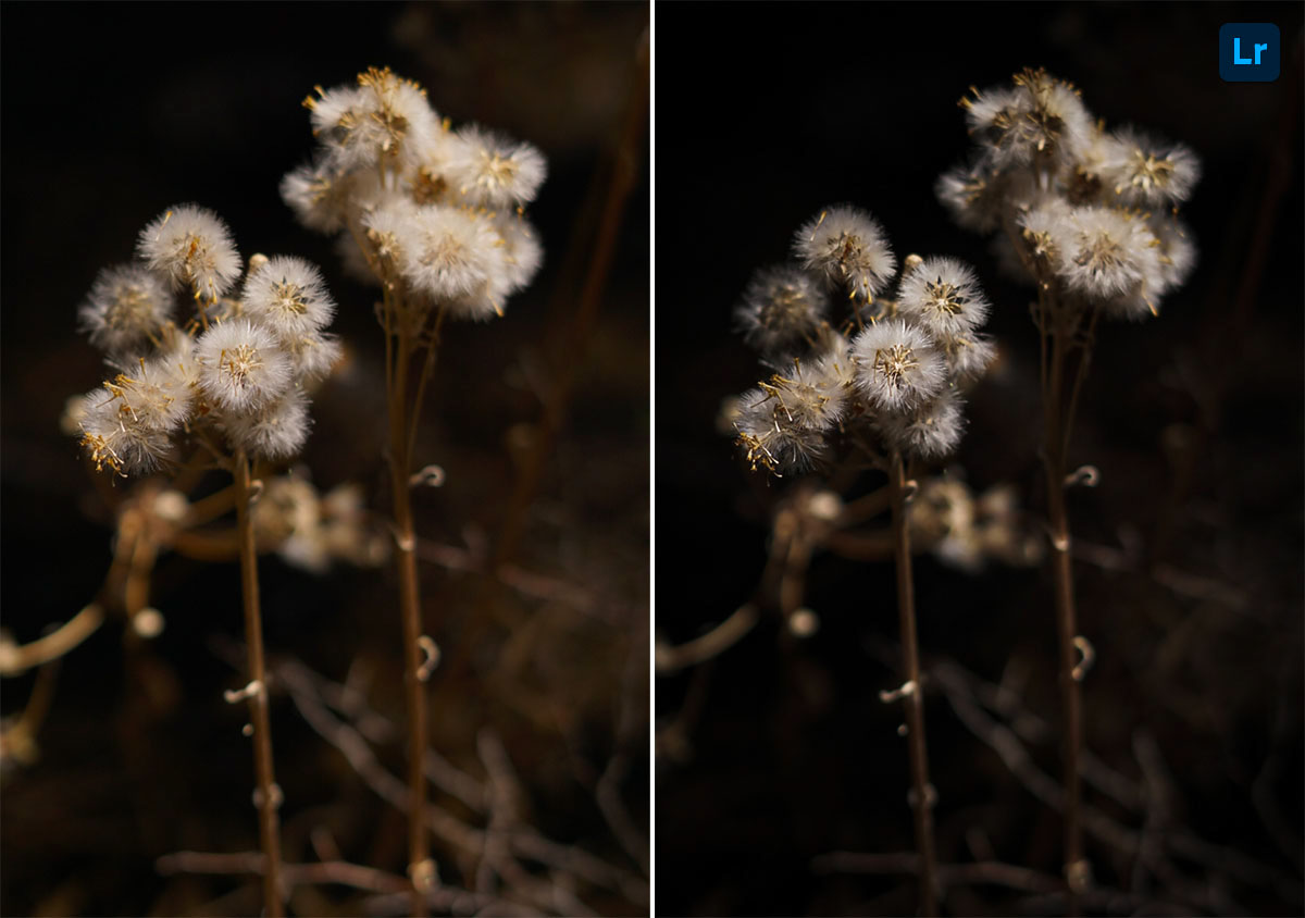 Mirror | Edit | Photoshop Lightroom