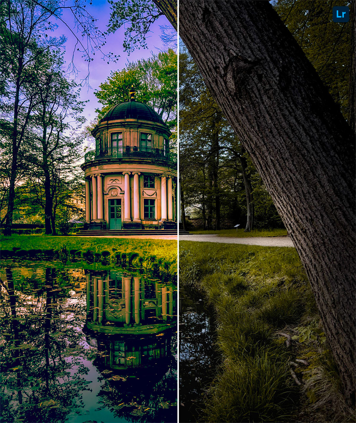 Reflection | Remix | Photoshop Lightroom