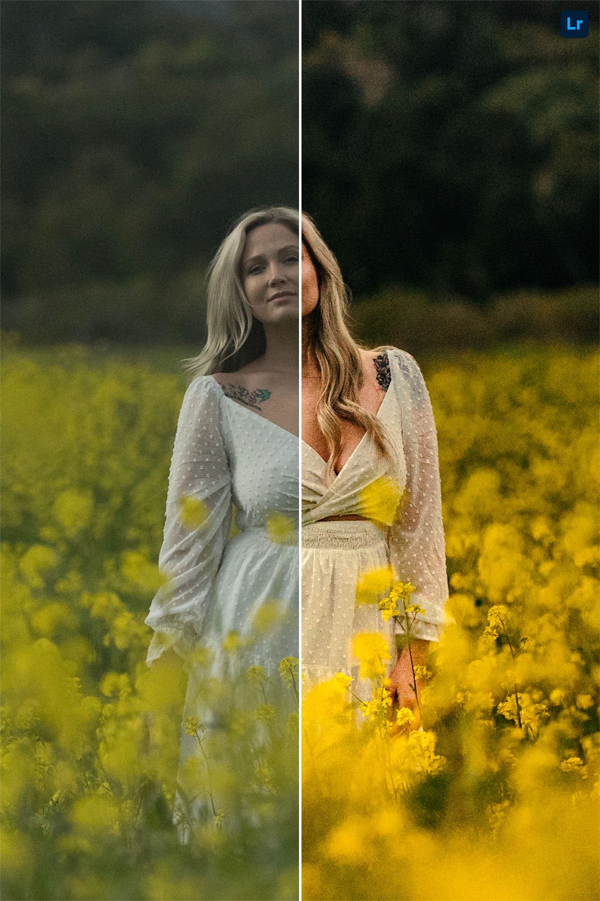 Meadow | Remix | Photoshop Lightroom