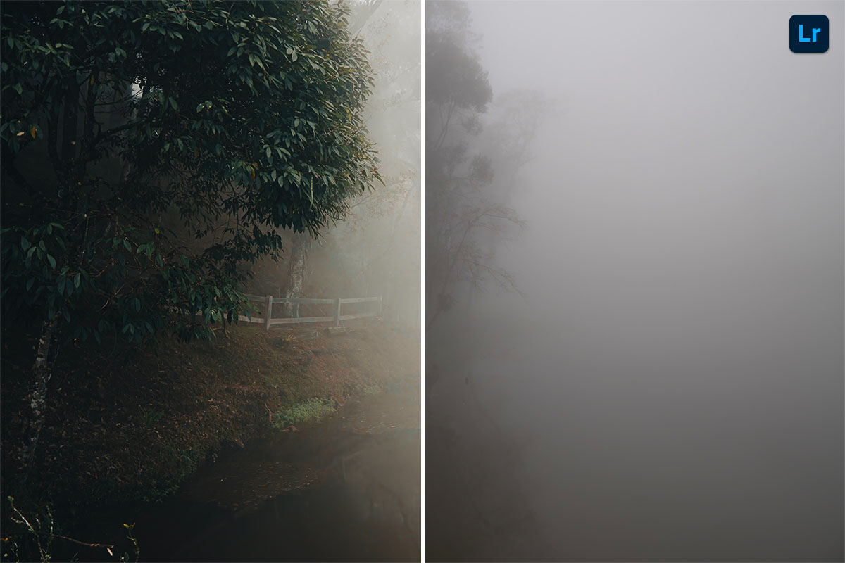 Mist | Edit | Photoshop Lightroom