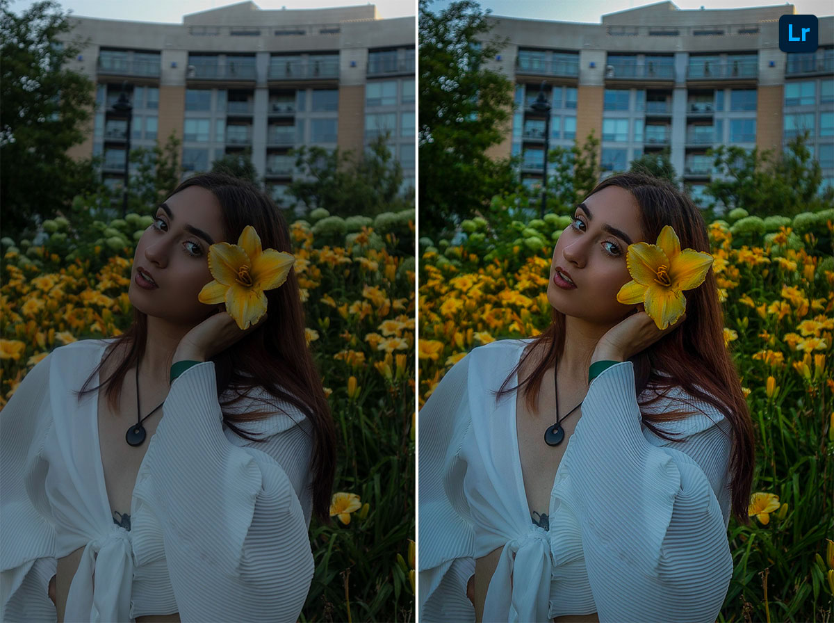Flower | Remix | Photoshop Lightroom
