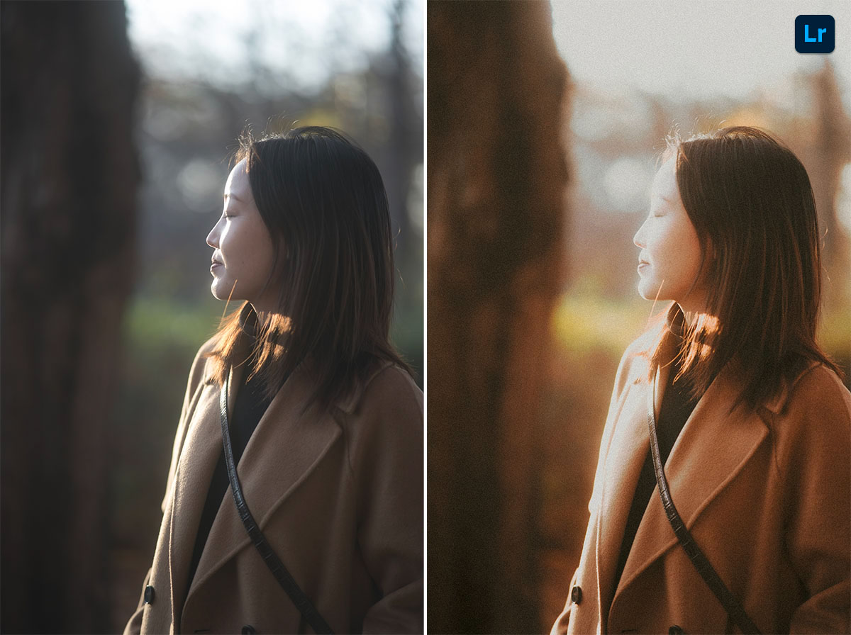 Sunkissed Winter | Edit | Photoshop Lightroom