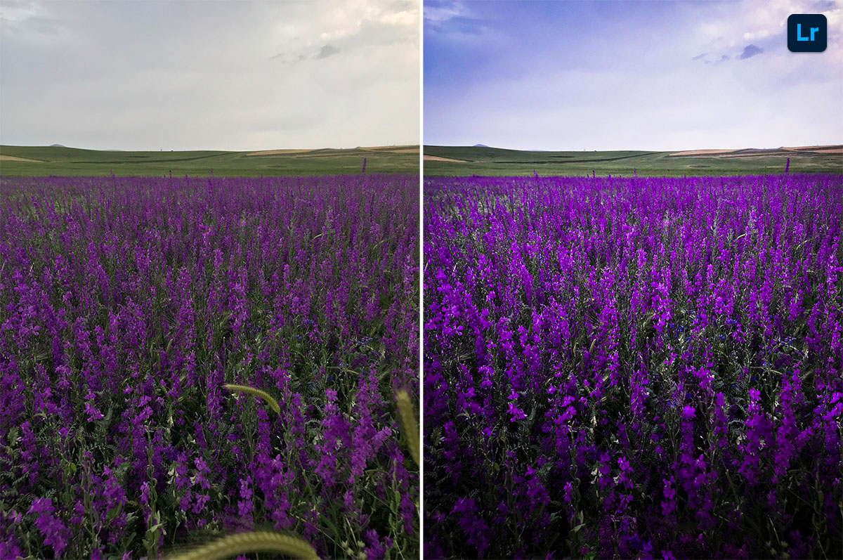 Colors of Sunday | Edit | Photoshop Lightroom