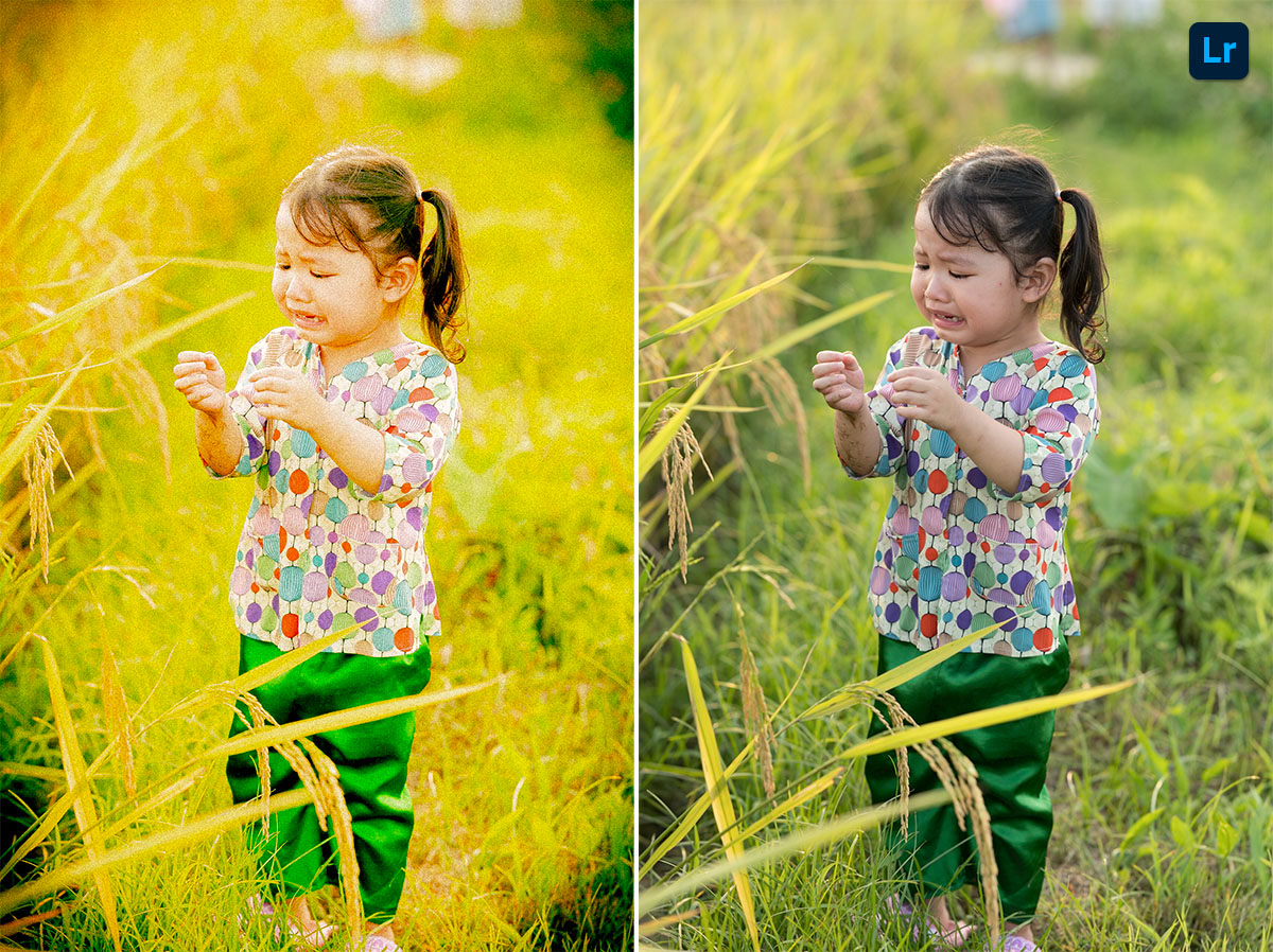 Em bé bên cánh đồng lúa | Remix | Photoshop Lightroom