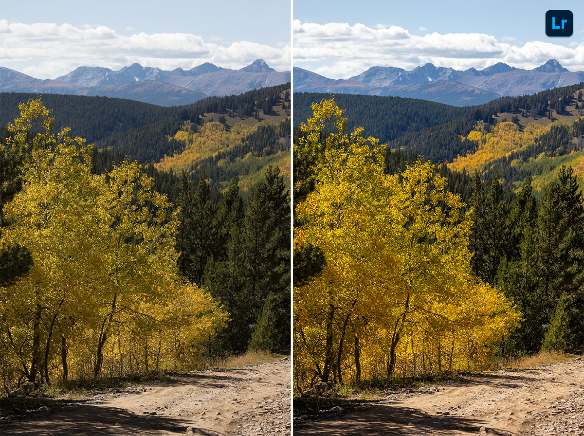 Fall in Colorado | Remix | Photoshop Lightroom
