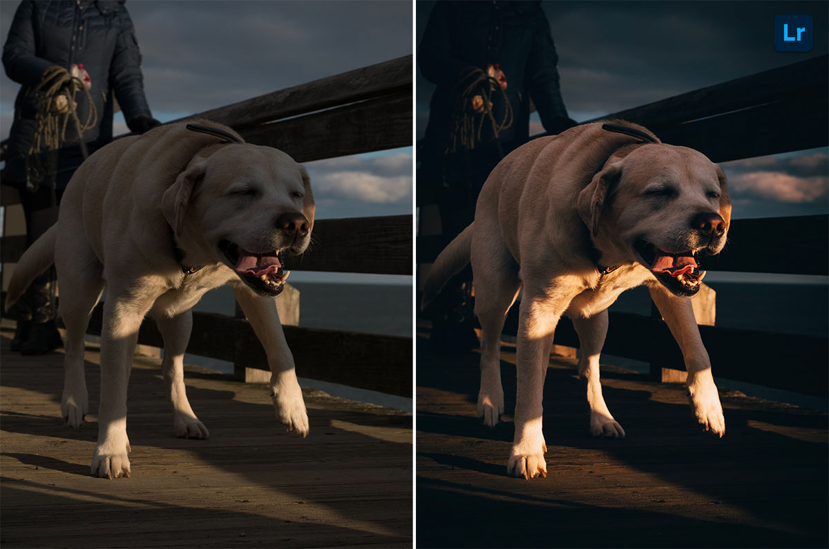 Happy Lad | Edit | Photoshop Lightroom