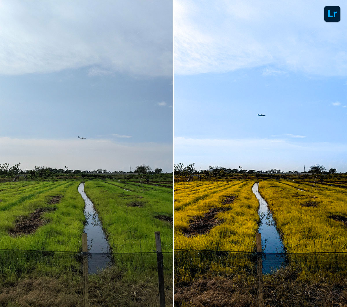 Nature with plane | Edit | Photoshop Lightroom