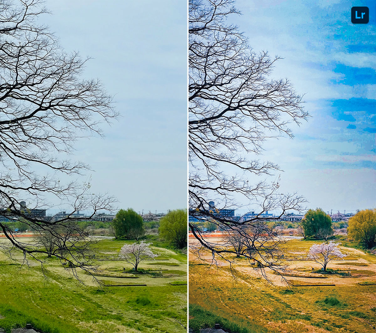 Spring in Japan | Edit | Photoshop Lightroom