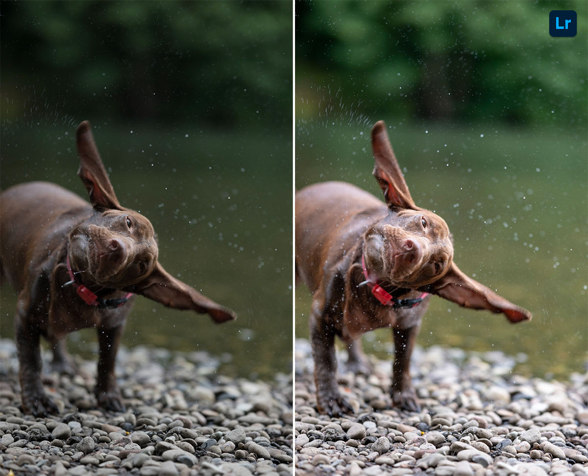 Floppy Head | Remix | Photoshop Lightroom