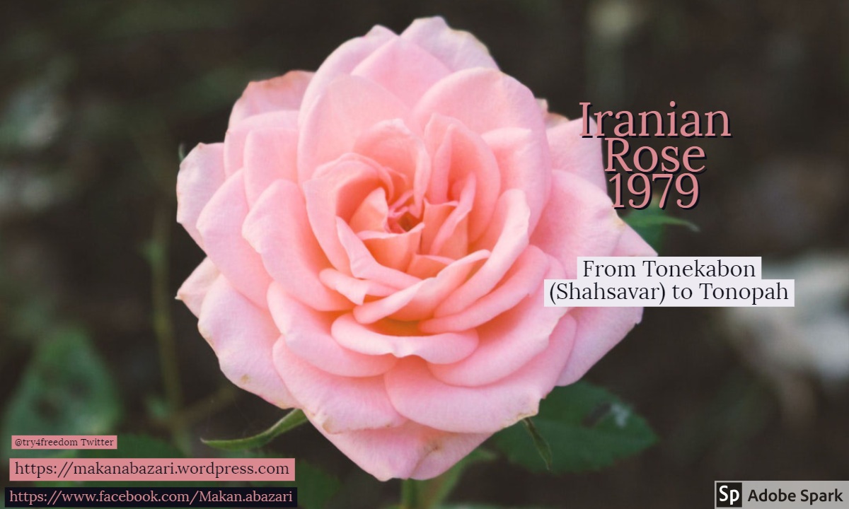 Iranian Rose: Tonekabon (Shahsavar) to Tonopah – World Order