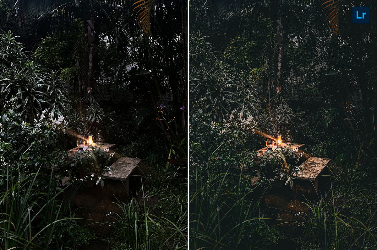 Light In The Jungle | Edit | Photoshop Lightroom
