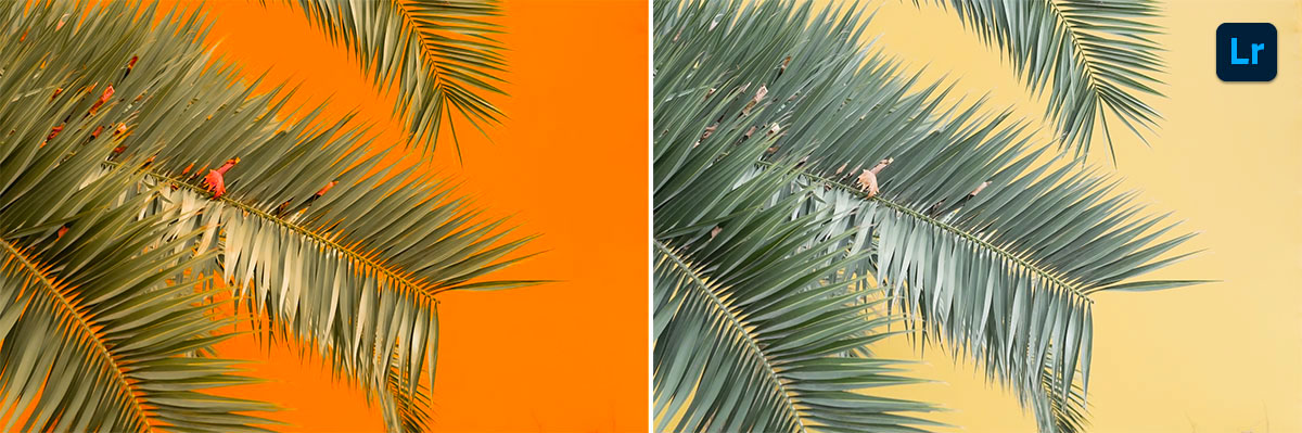 Colors | Remix | Photoshop Lightroom