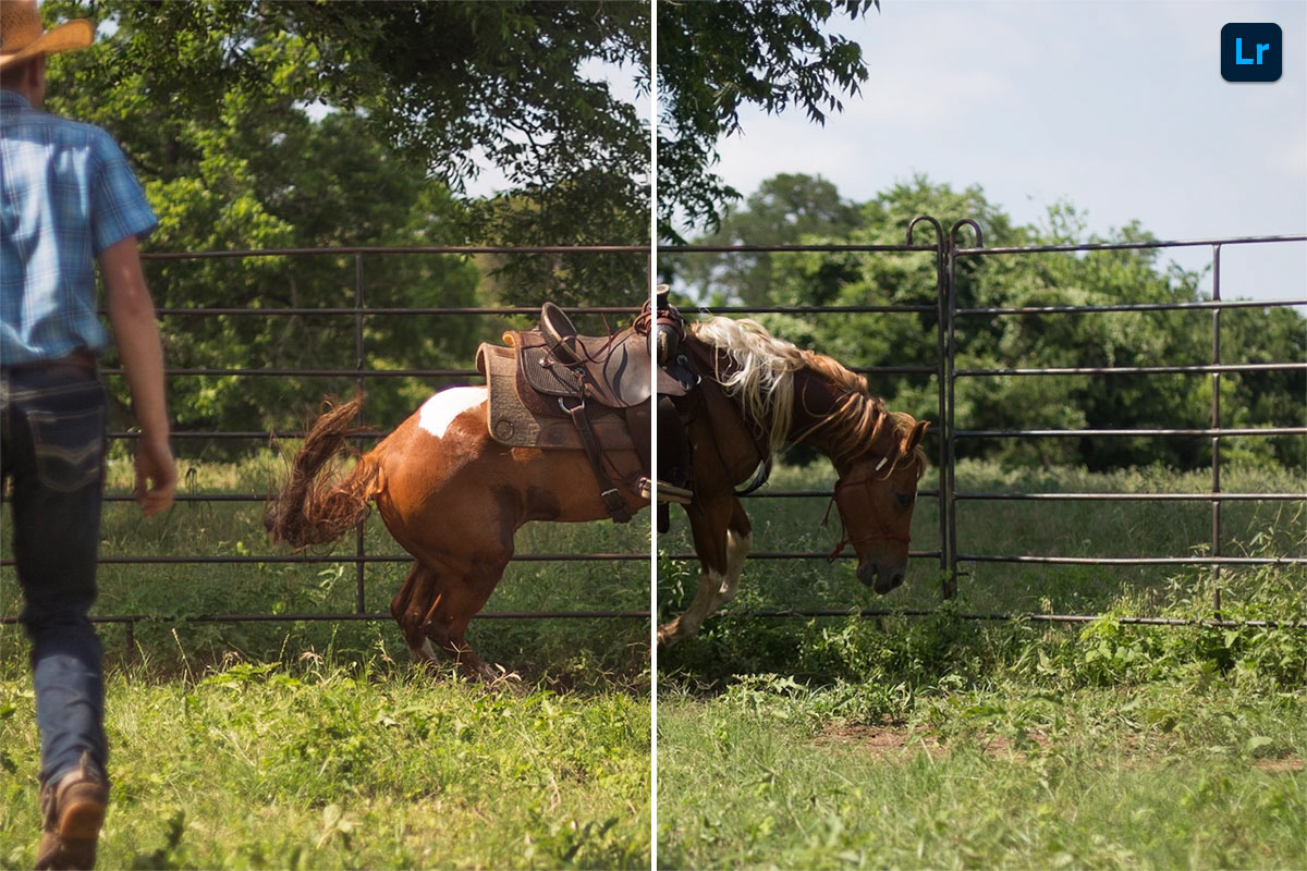 Cowboy | Edit | Photoshop Lightroom