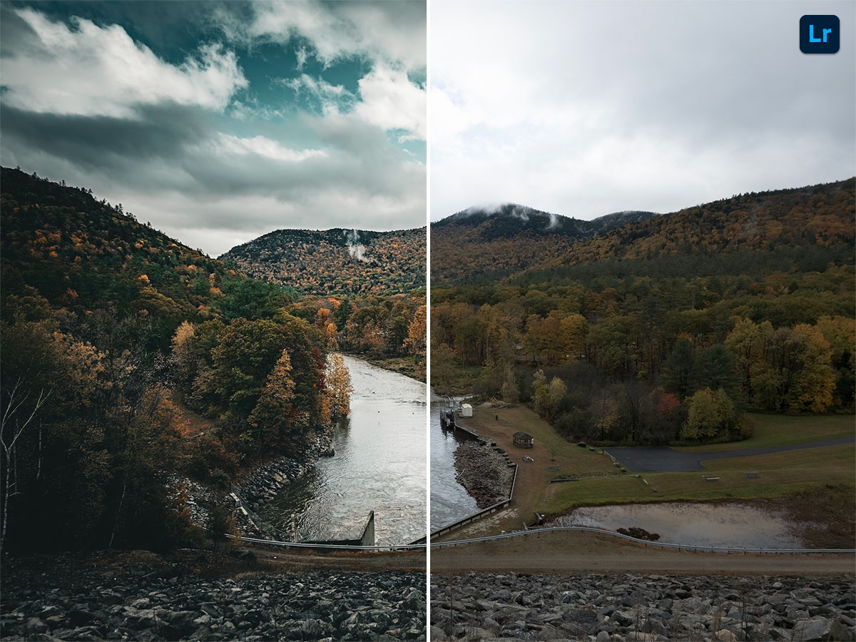 Leaf Peeping | Edit | Photoshop Lightroom