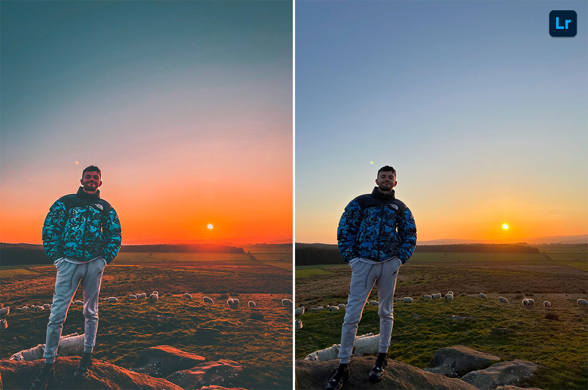 small cows | Edit | Photoshop Lightroom