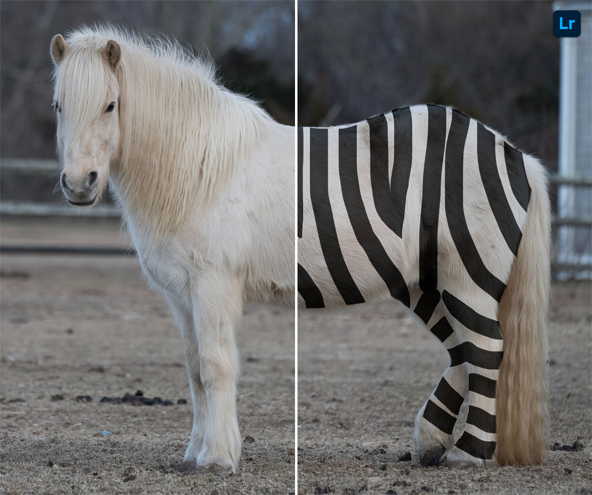 The Great White Horse | Remix | Photoshop Lightroom
