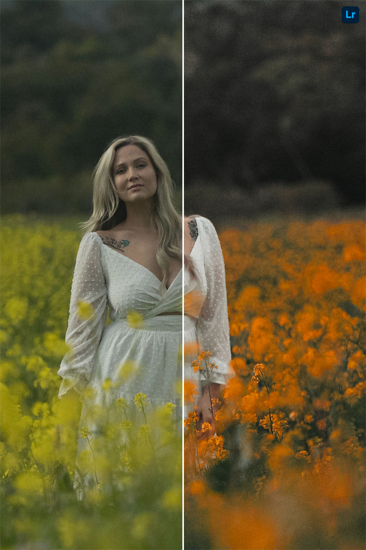 Meadow | Remix | Photoshop Lightroom