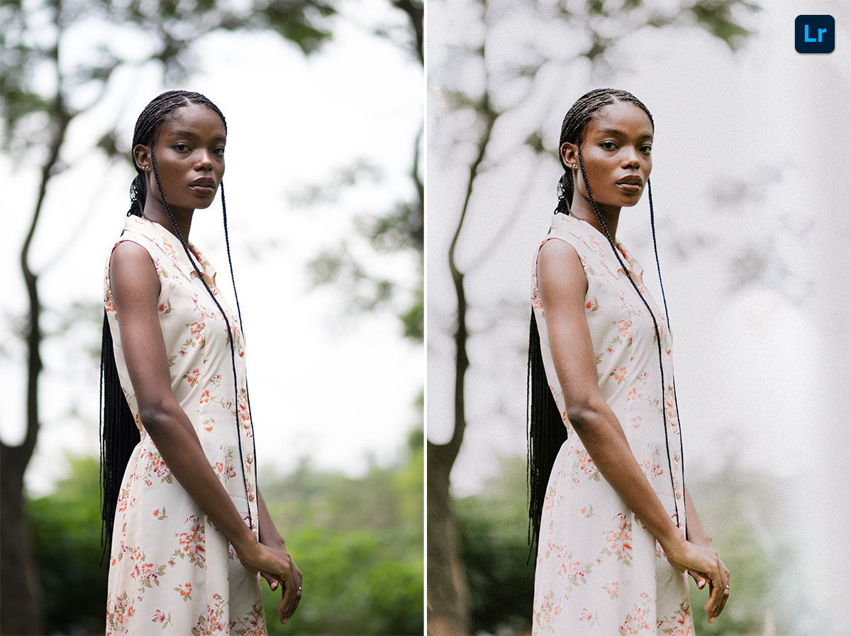 elizabeth ii | Remix | Photoshop Lightroom