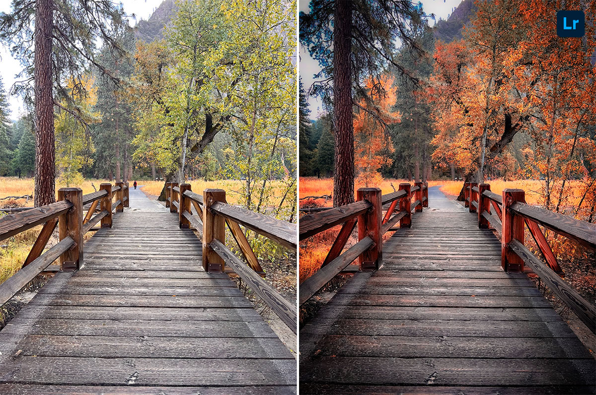 Cook’s Meadow Trail | Edit | Photoshop Lightroom