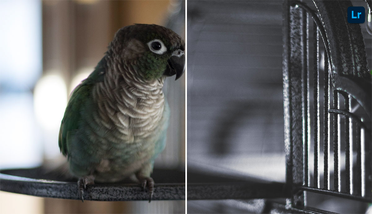 Mr.Cowell | Edit | Photoshop Lightroom