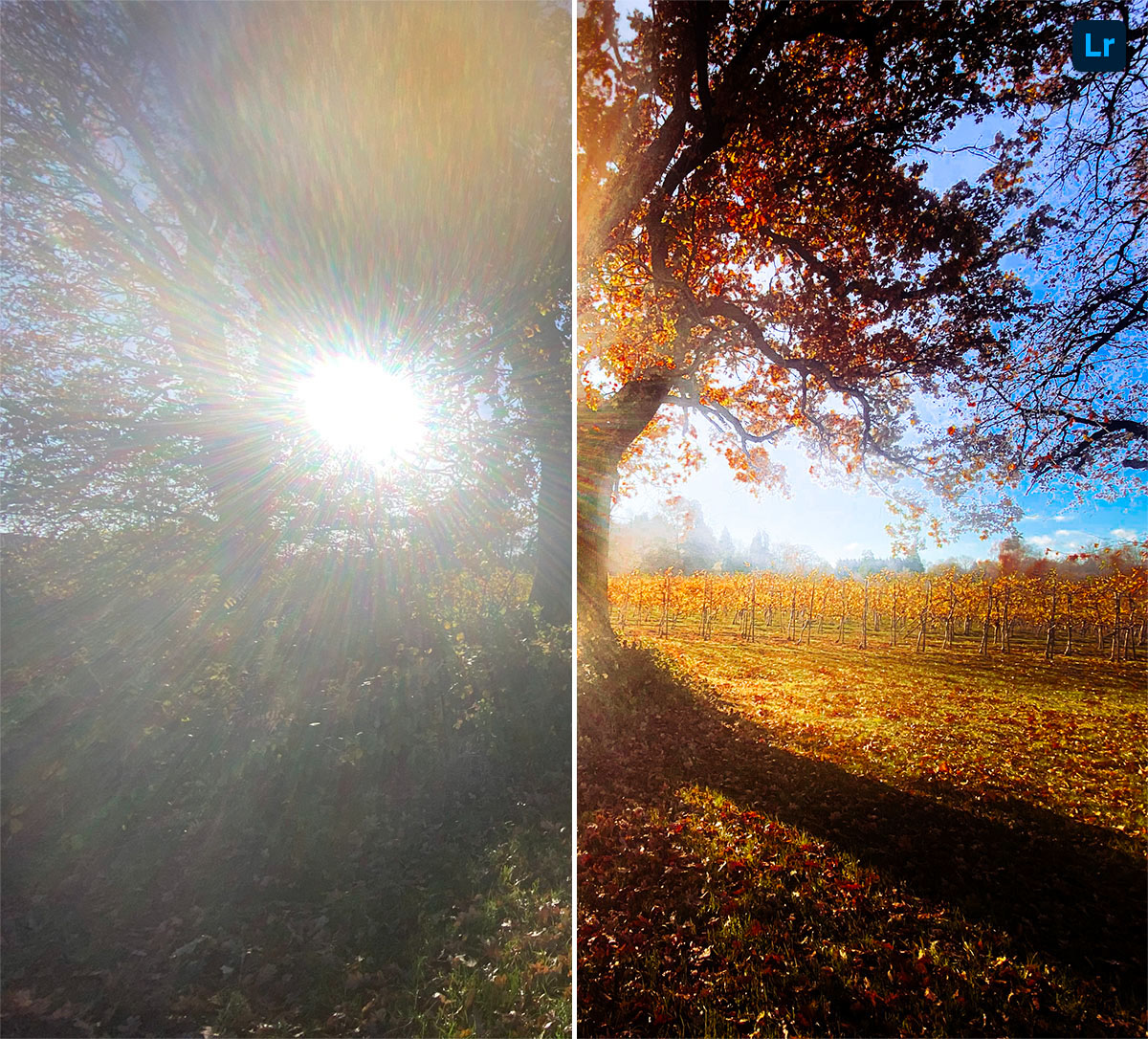 Light and shadow | Edit | Photoshop Lightroom
