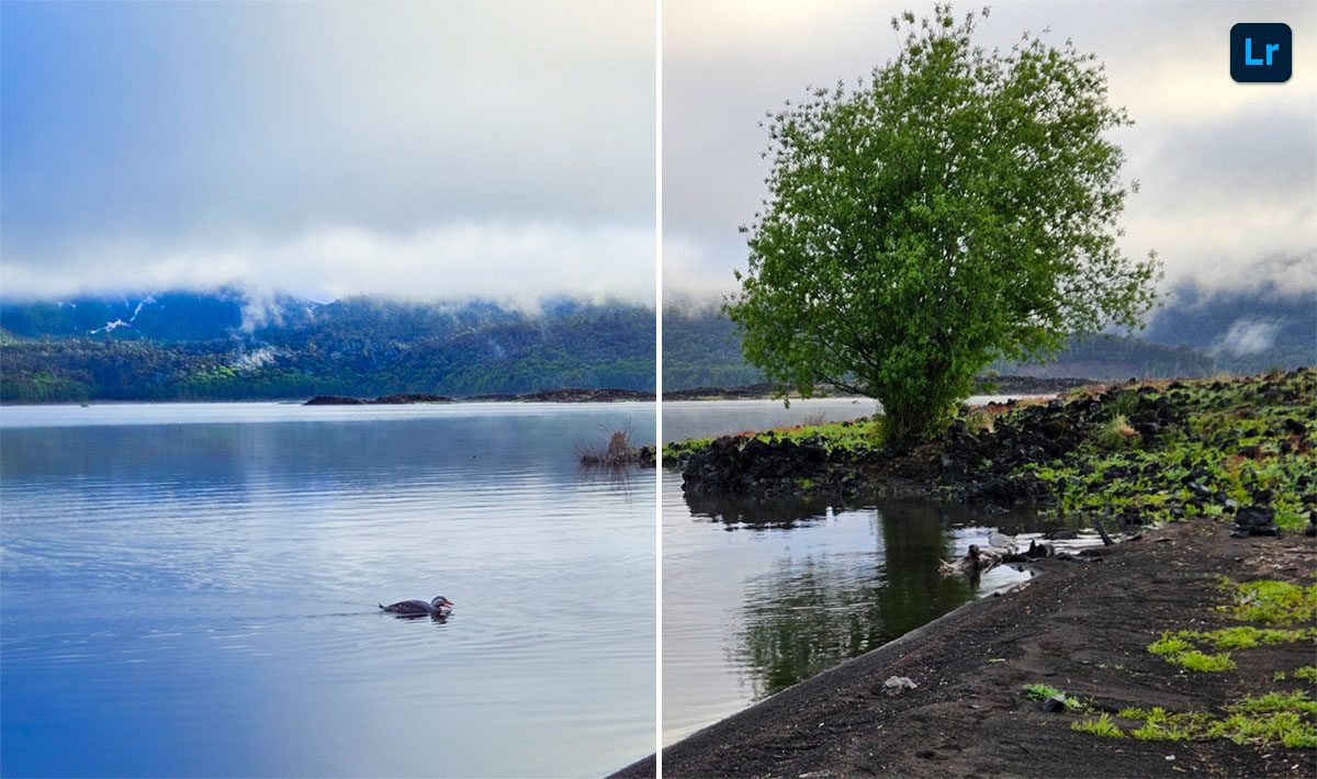 Duffy? | Edit | Photoshop Lightroom