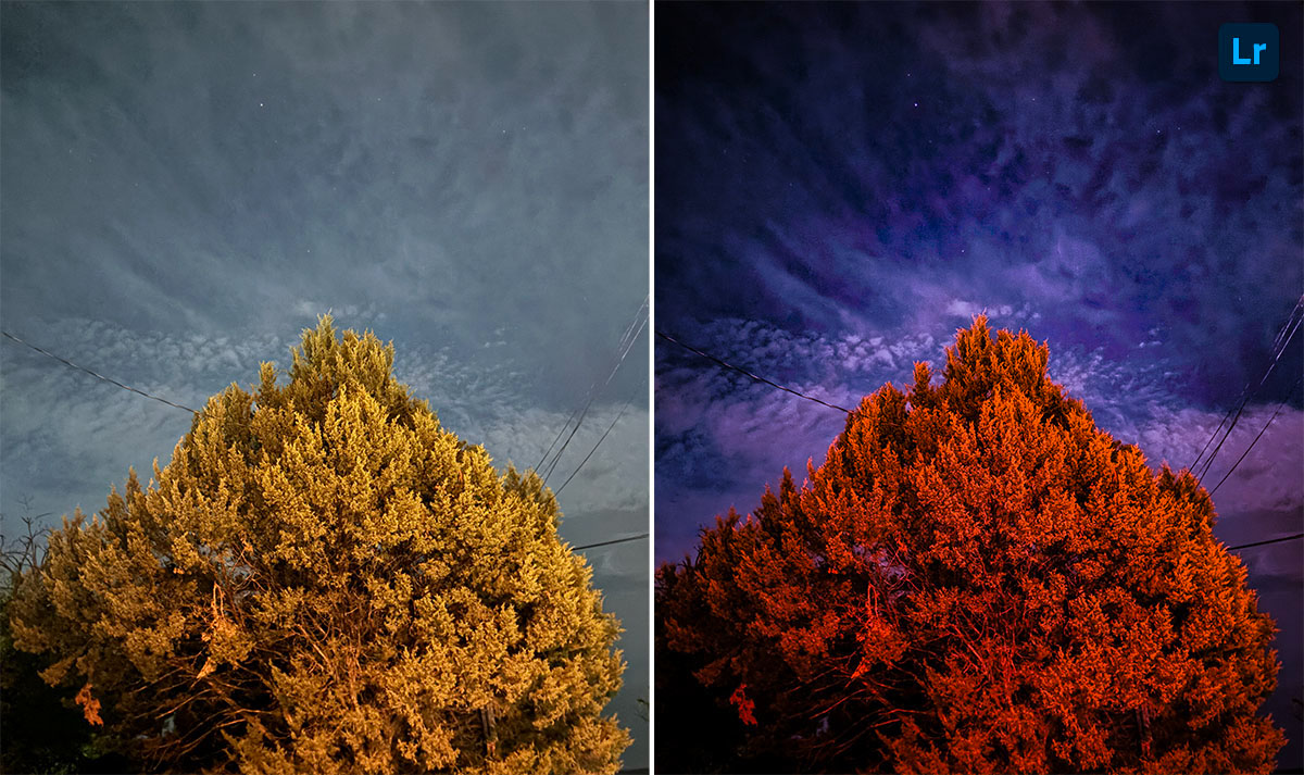 mystery tree | Edit | Photoshop Lightroom