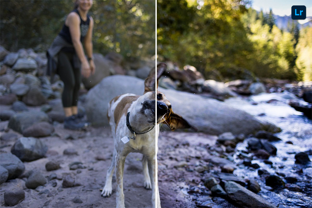 Shake it off | Remix | Photoshop Lightroom